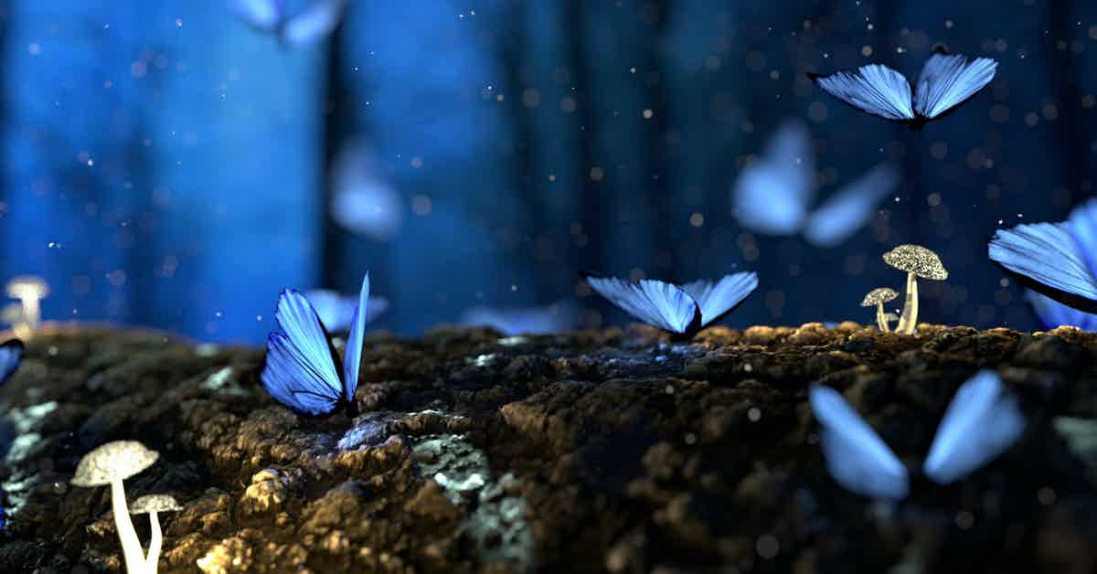 The Role of the Global Dark Night of the Soul in Human Metamorphosis ...
